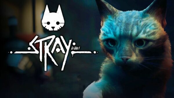 Gameplay-Trailer: Stray - Was is hier eigentlich los