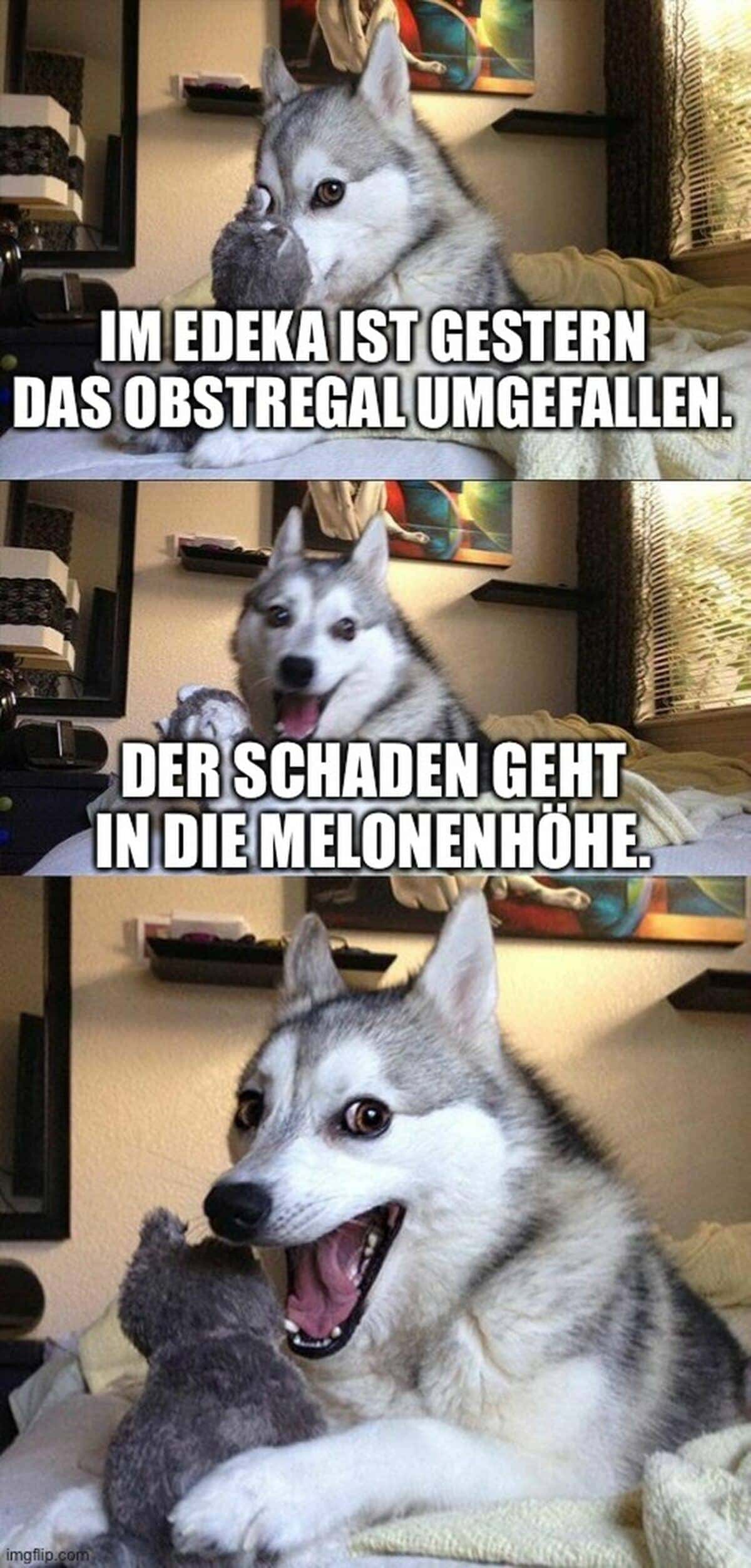 Flachwitz der Woche - Was is hier eigentlich los