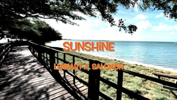 Lennart A. Salomon - Sunshine - Was is hier eigentlich los