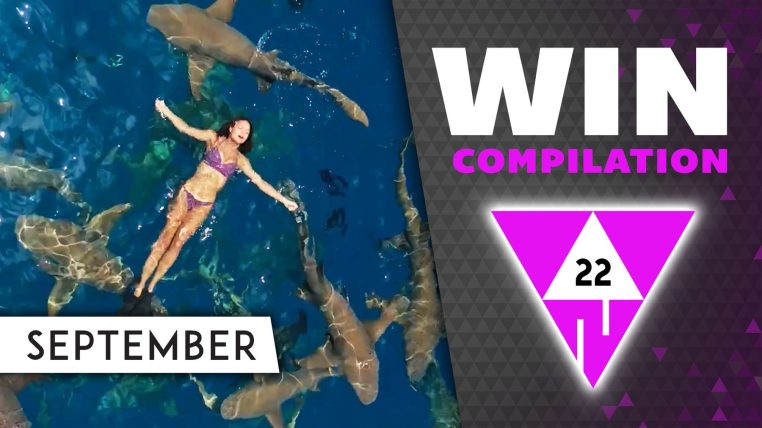 Win-Compilation Dezember 2022 - Was is hier eigentlich los
