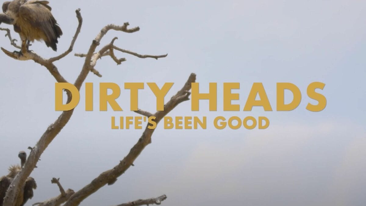 Dirty Heads – Life’s Been Good - Was is hier eigentlich los