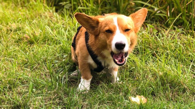 Das war meine Woche KW 37 / 2023 - Was is hier eigentlich los