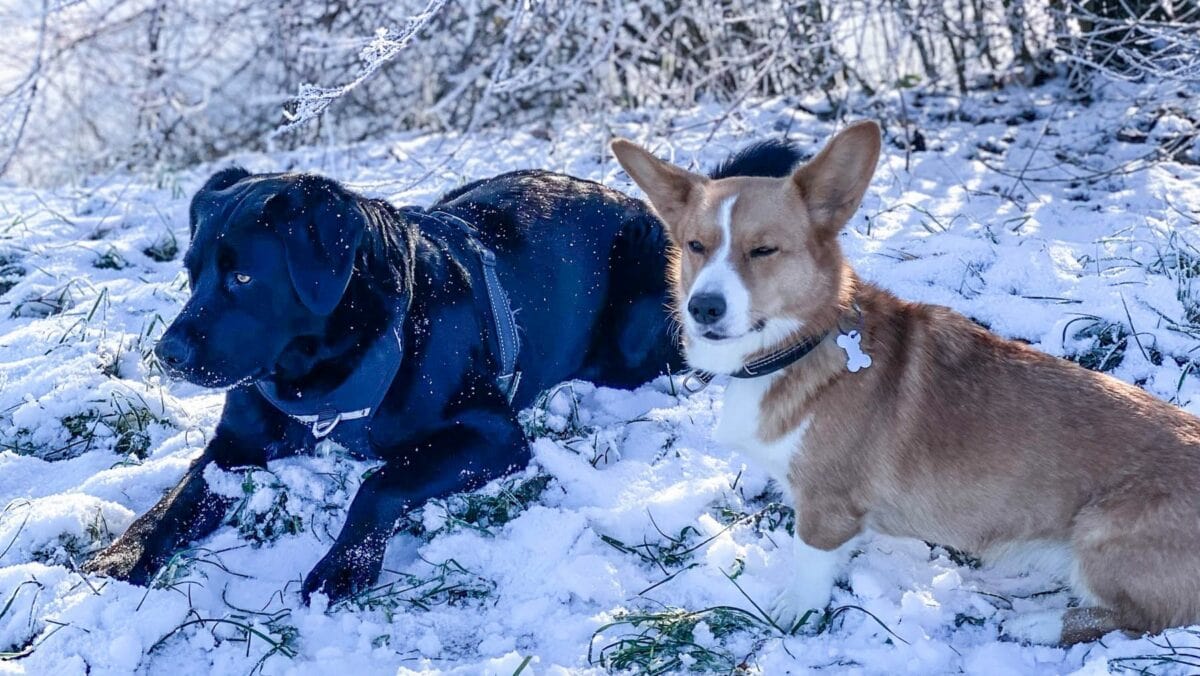 Das war meine Woche KW 49 /2023 - Was is hier eigentlich los