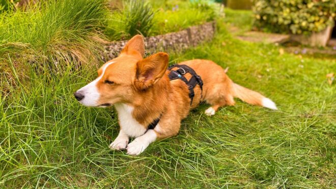 Das war meine Woche KW 32 / 2023 - Was is hier eigentlich los